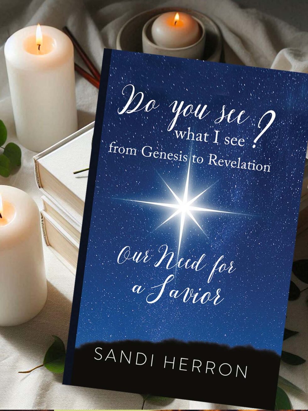 Do You See What I See? - Sandi Herron - Life at Spring Meadows